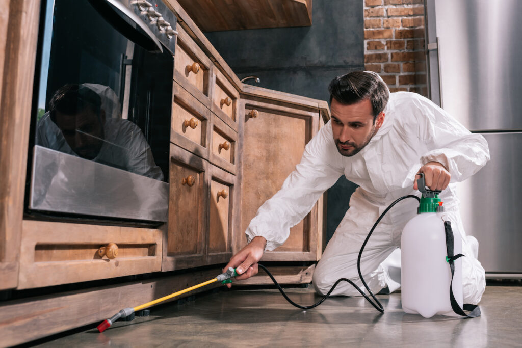 How to Build a Strong Presence for Your Pest Control Business - UBI ...